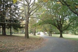 Facilities • Upper Hackett Park